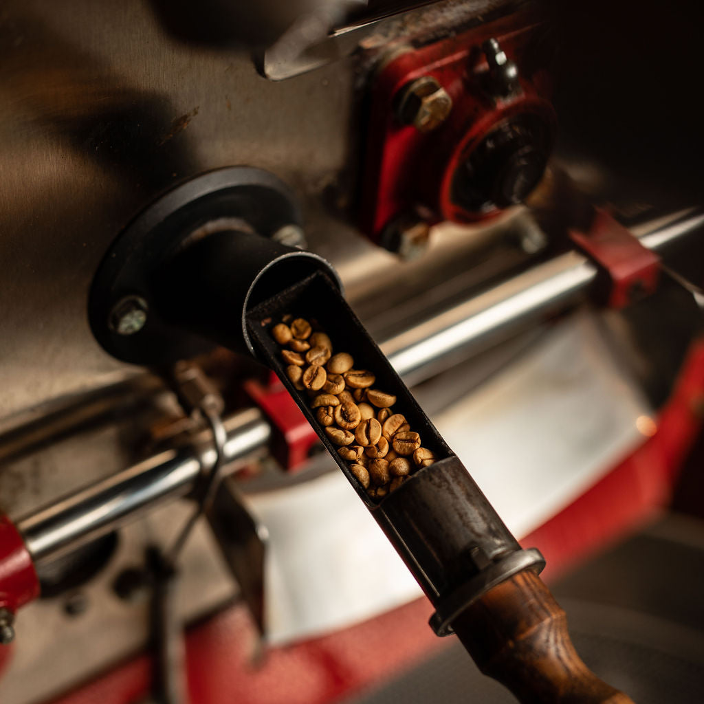 A little about Diedre, our Diedrich Coffee Roaster – Gordon Street Coffee